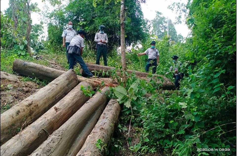 49.7 tons of illegal timber seized in Bago region | Mizzima Myanmar ...