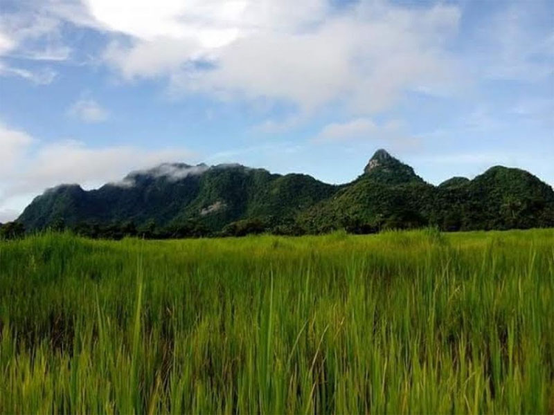 Min Lwin Mountain cement factory is harmful claims report | Mizzima ...