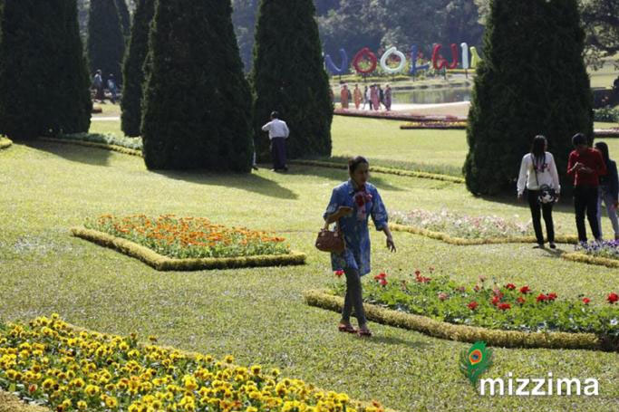 Flower festival in to be held in Pyin Oo Lwin | Mizzima Myanmar News ...