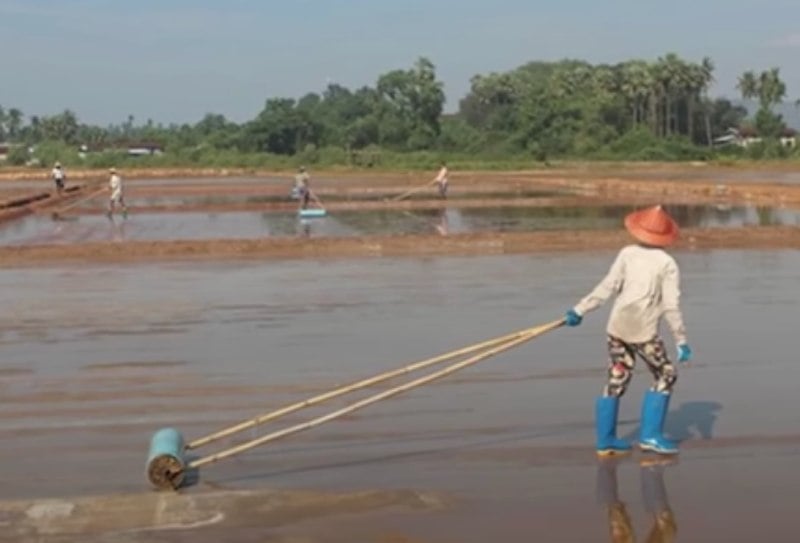 Salt produced in Mon State to be exported to Japan and South Korea ...