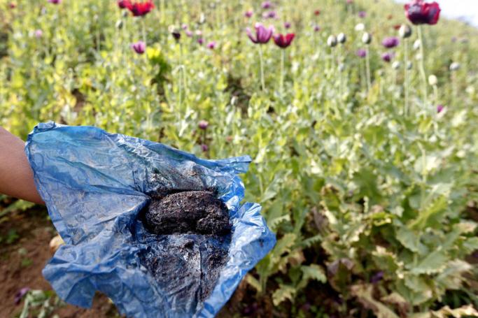 21.35 kg of raw opium seized in Tachileik | Mizzima Myanmar News and ...