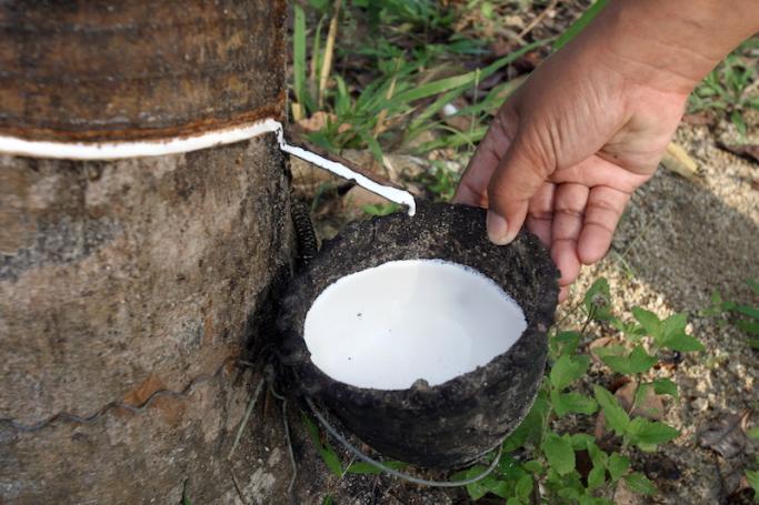 Thai farmers tap into sustainable rubber industry | Mizzima Myanmar ...