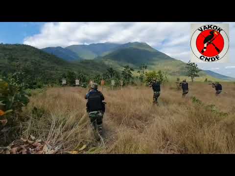 Chin National Defence Force being trained by U.S. armed forces veteran ...